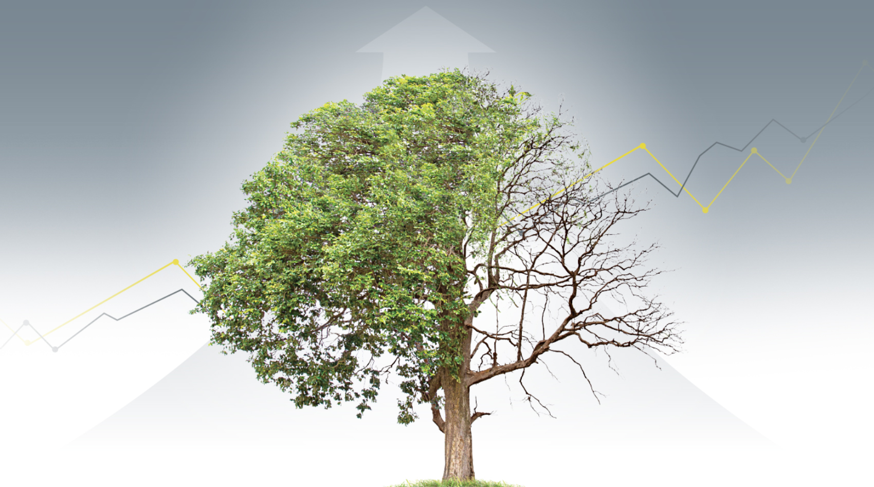 InvestNow News - Mike Taylor's Message: Disaster, Disruption, Stimulus